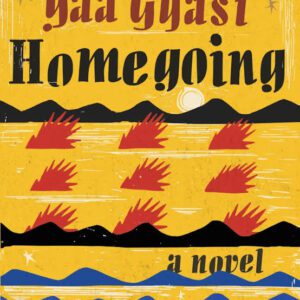 A Literary Analysis of Homegoing | Literature PADI