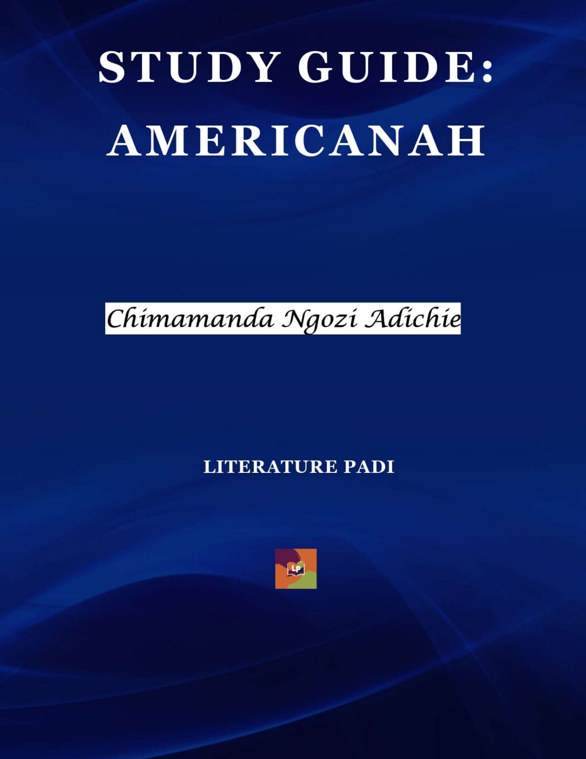 Chapter 3 Summary and Analysis of Americanah by Chimamanda Ngozi ...